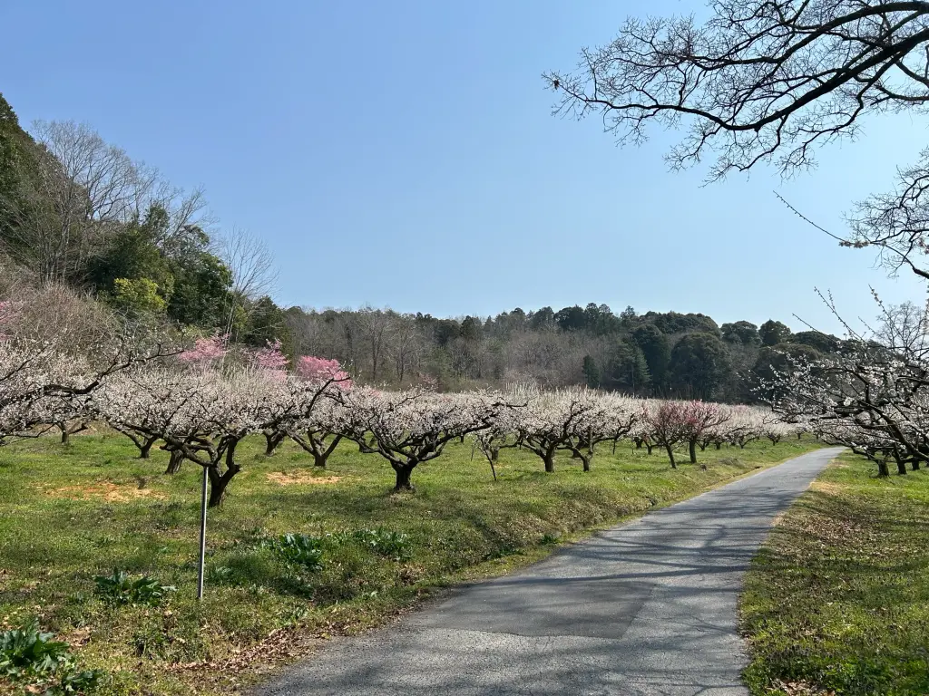 Server List | Misskey Hub